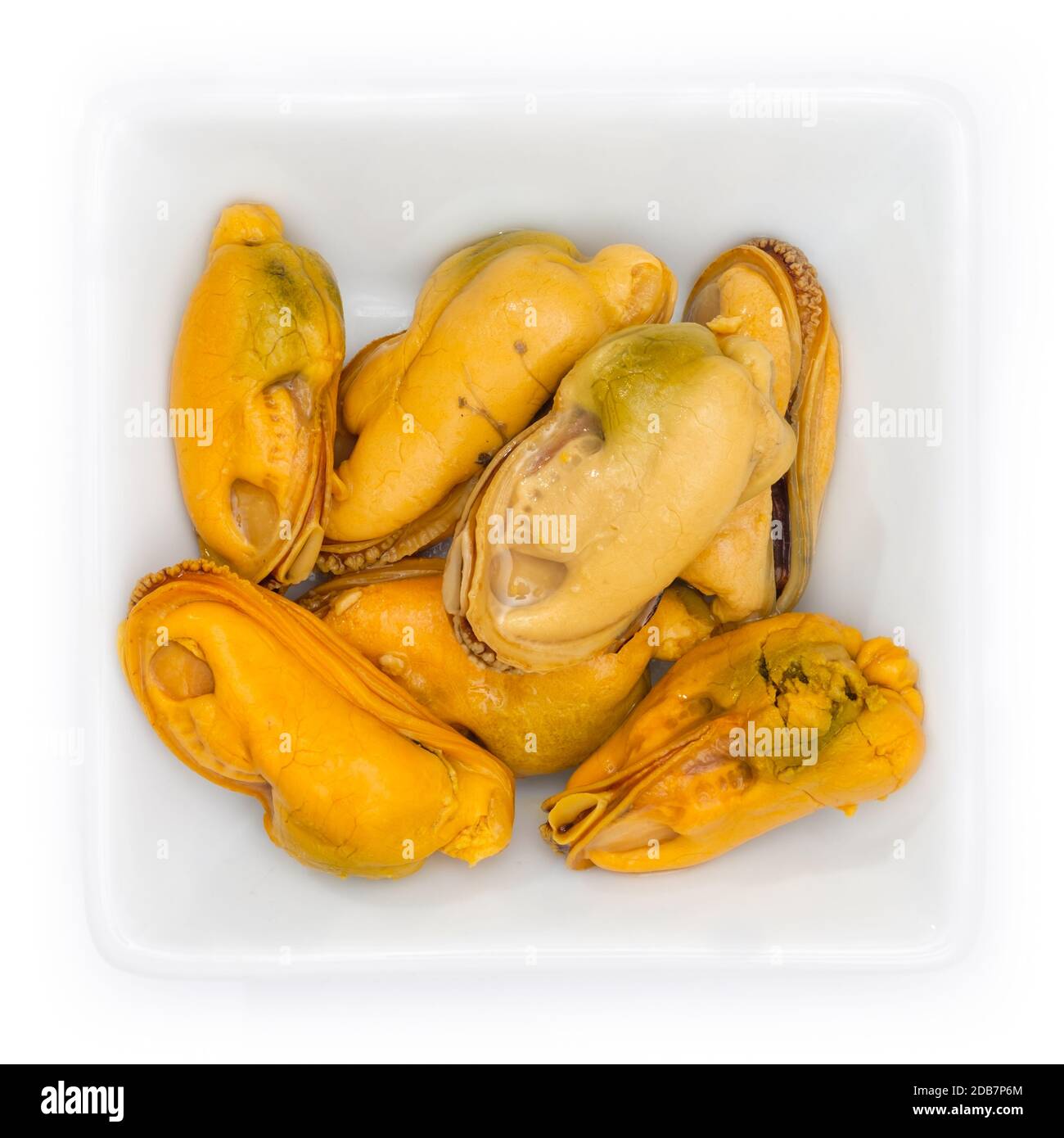 Mussel flesh in a white bowl in top view Stock Photo - Alamy