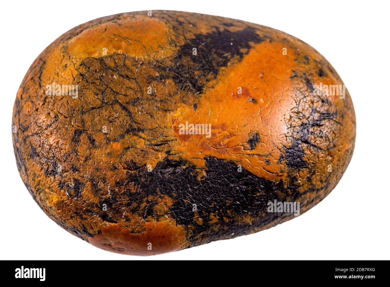 flint of the Baltic sea in a closeup Stock Photo - Alamy