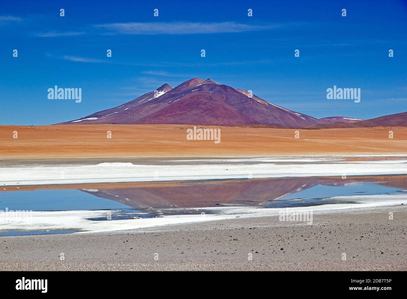 Santa Maria Lagoon with volcano Incahuasi at the Puna de Atacama with ...