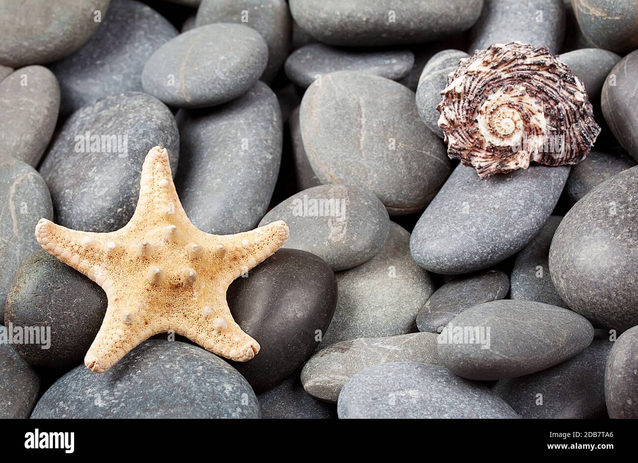 Backgrounds pebble stone starfish hi-res stock photography and images ...