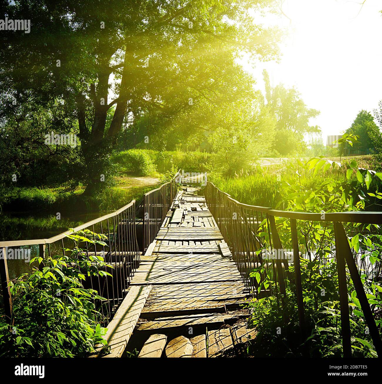 Wooden bridge over the river in the forest Stock Photo - Alamy