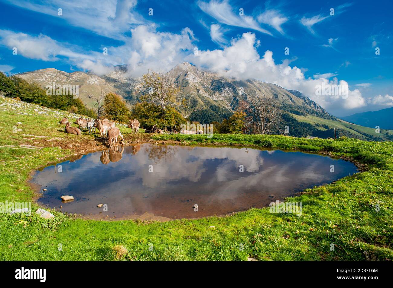 Milk pond hi-res stock photography and images - Alamy