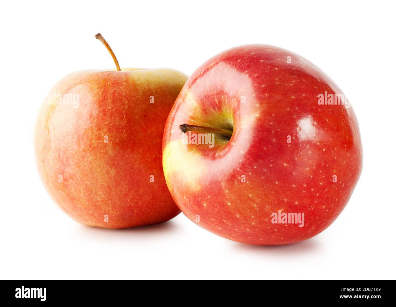 Two red apples isolated on white background Stock Photo - Alamy