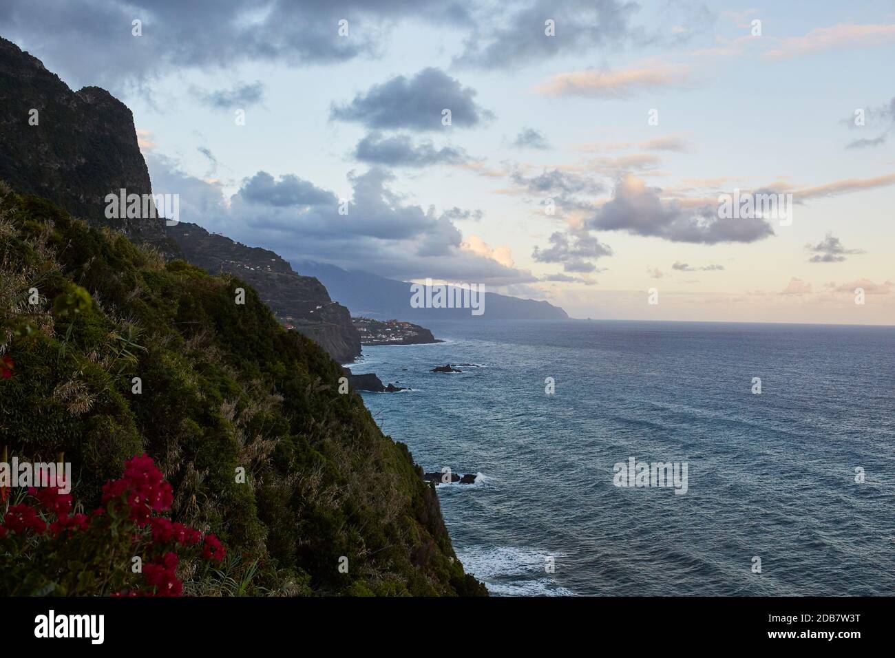 The wonderful colors of Madeira island Stock Photo - Alamy