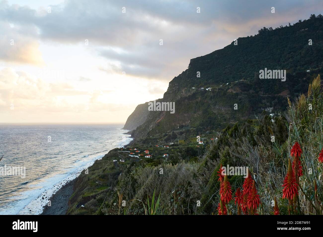 The wonderful colors of Madeira island Stock Photo - Alamy