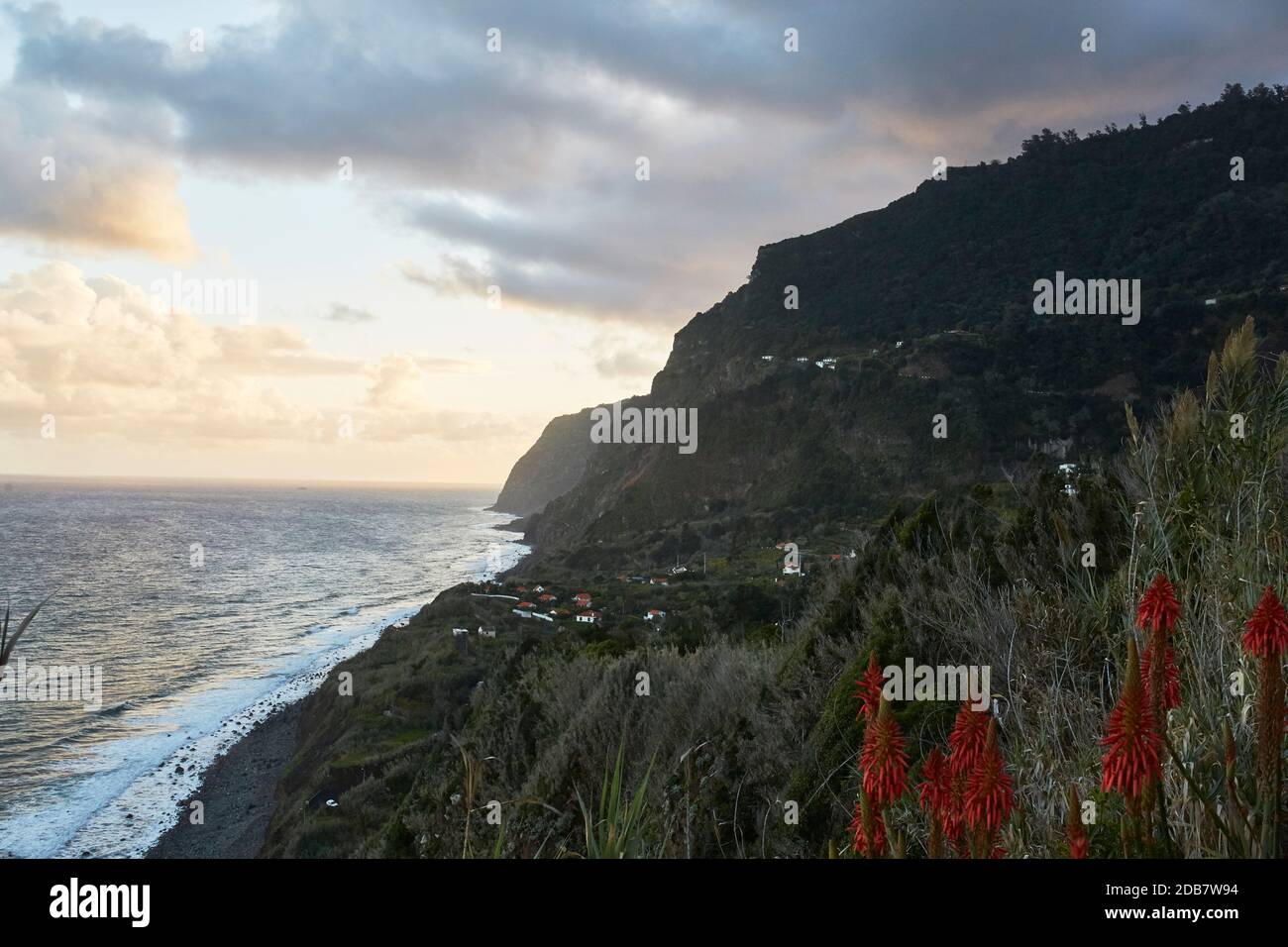 The wonderful colors of Madeira island Stock Photo - Alamy