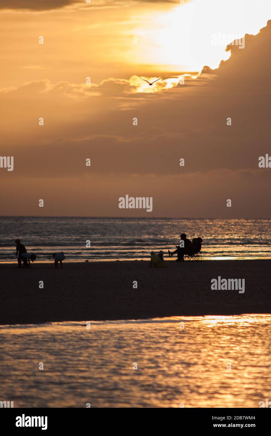 Florida Sand Bar Sunset High Resolution Stock Photography and Images ...