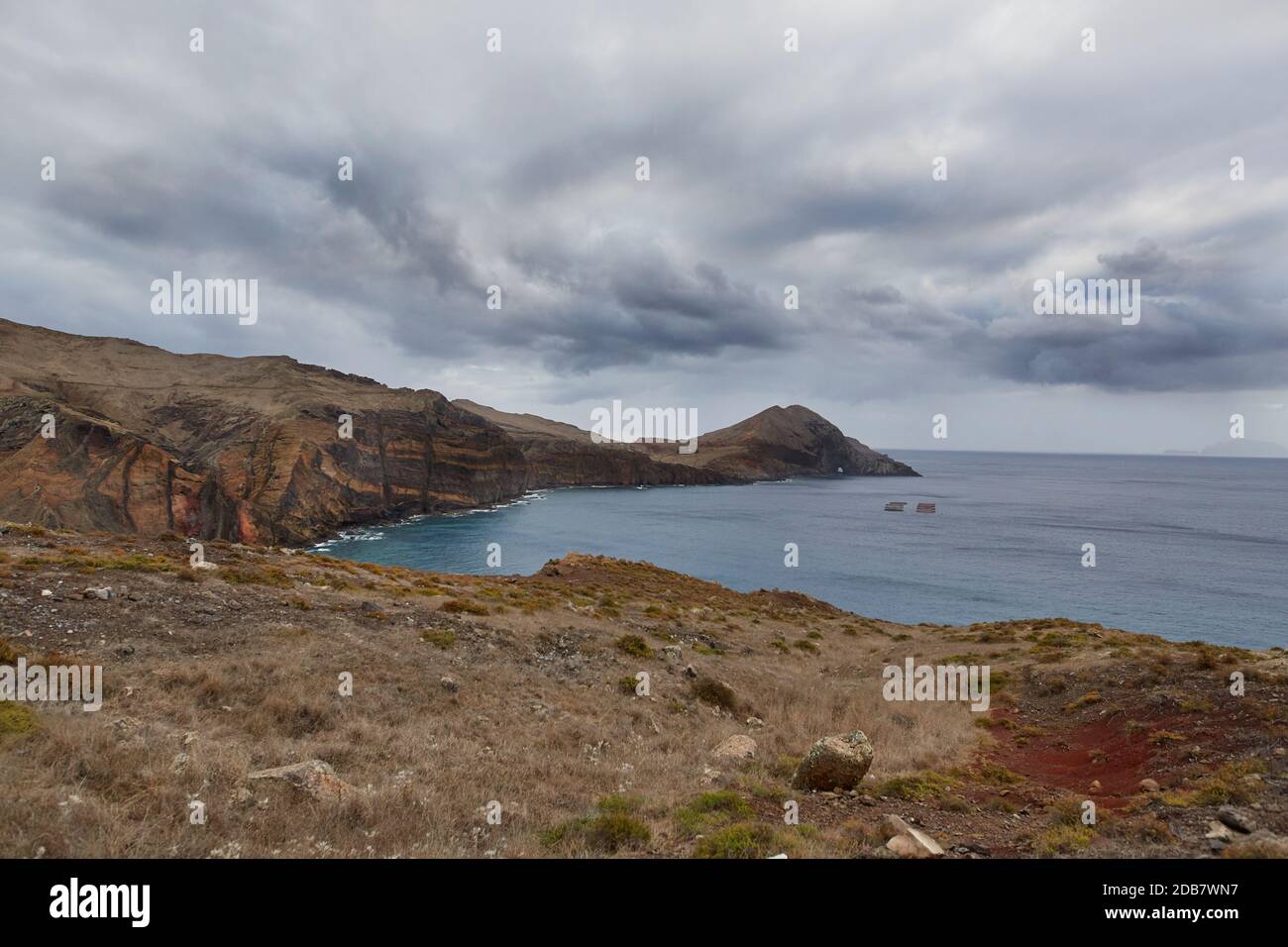 The wonderful colors of Madeira island Stock Photo - Alamy