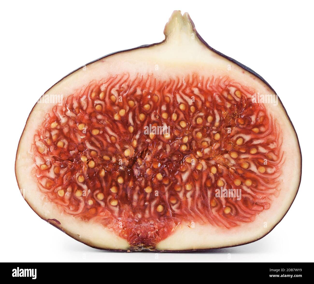 Cut the middle of figs with seeds isolated on white background Stock ...