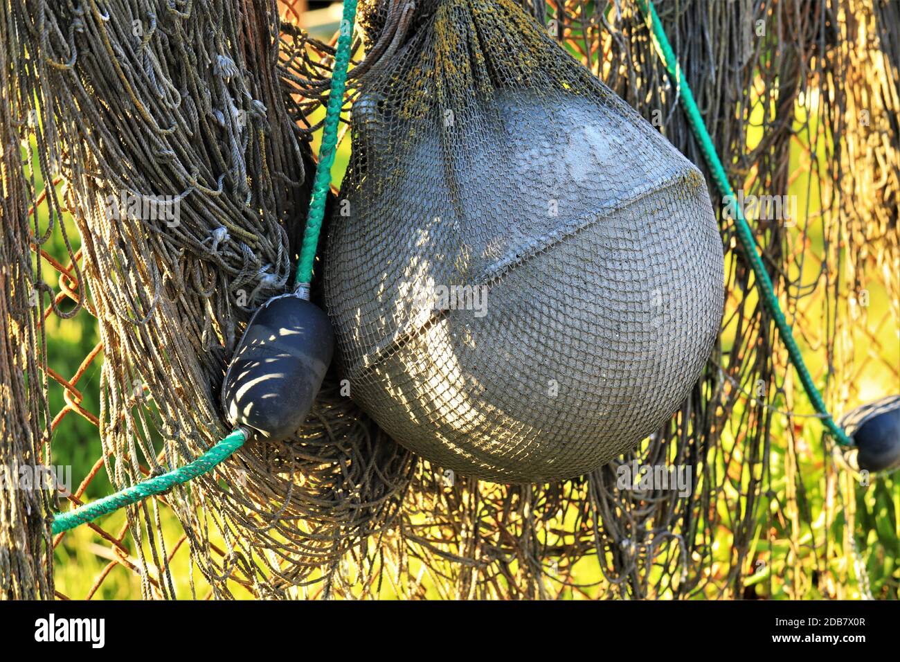 fishing float with rope hanging with net Stock Photo - Alamy