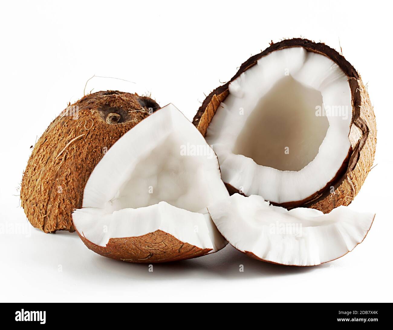 Frustrated meaty coconut isolated on white background Stock Photo - Alamy