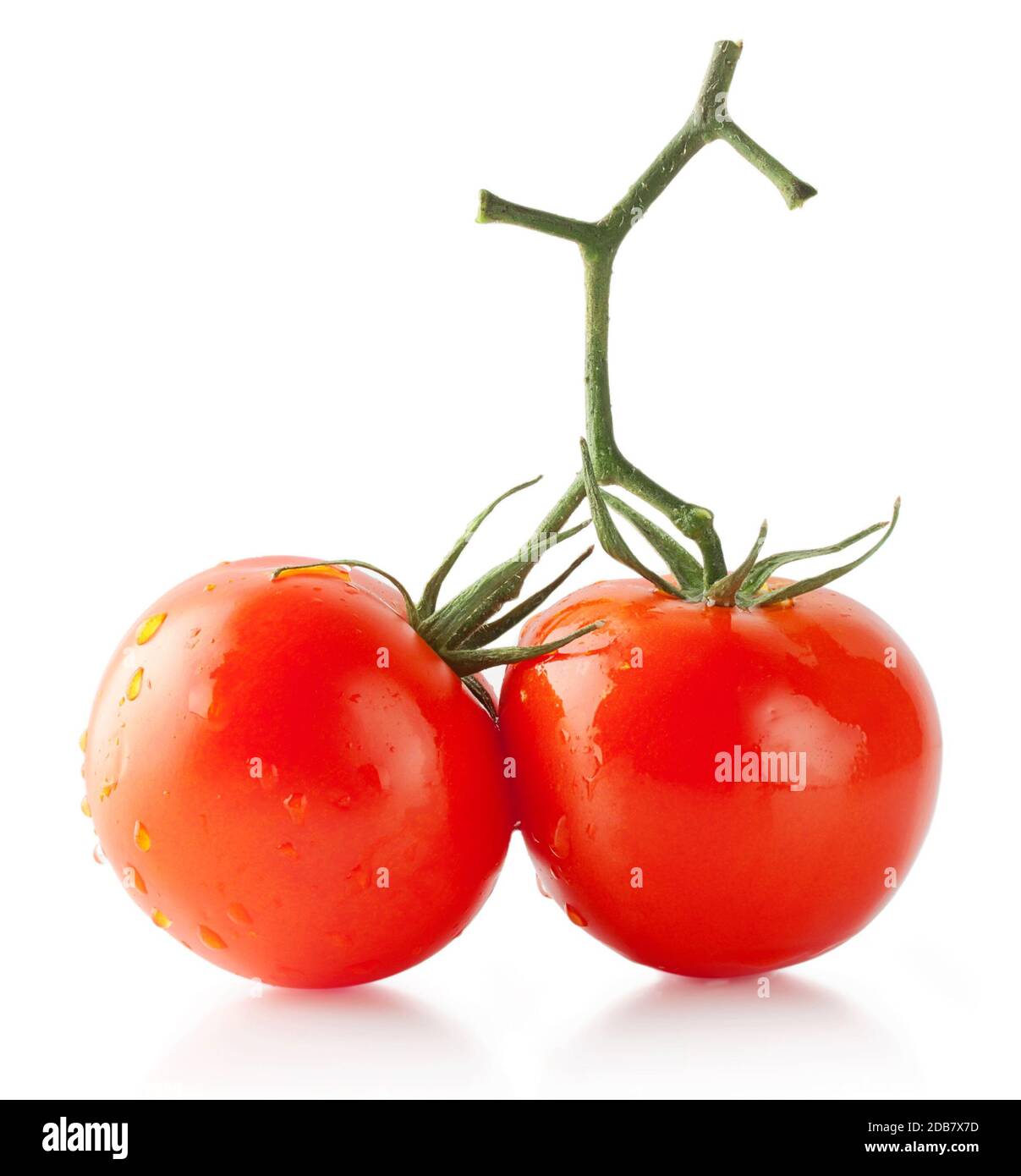 Two red tomatoes on the handle isolated on white background Stock Photo ...
