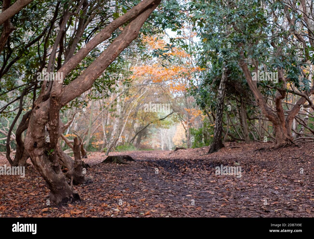 Iver heath hi-res stock photography and images - Alamy