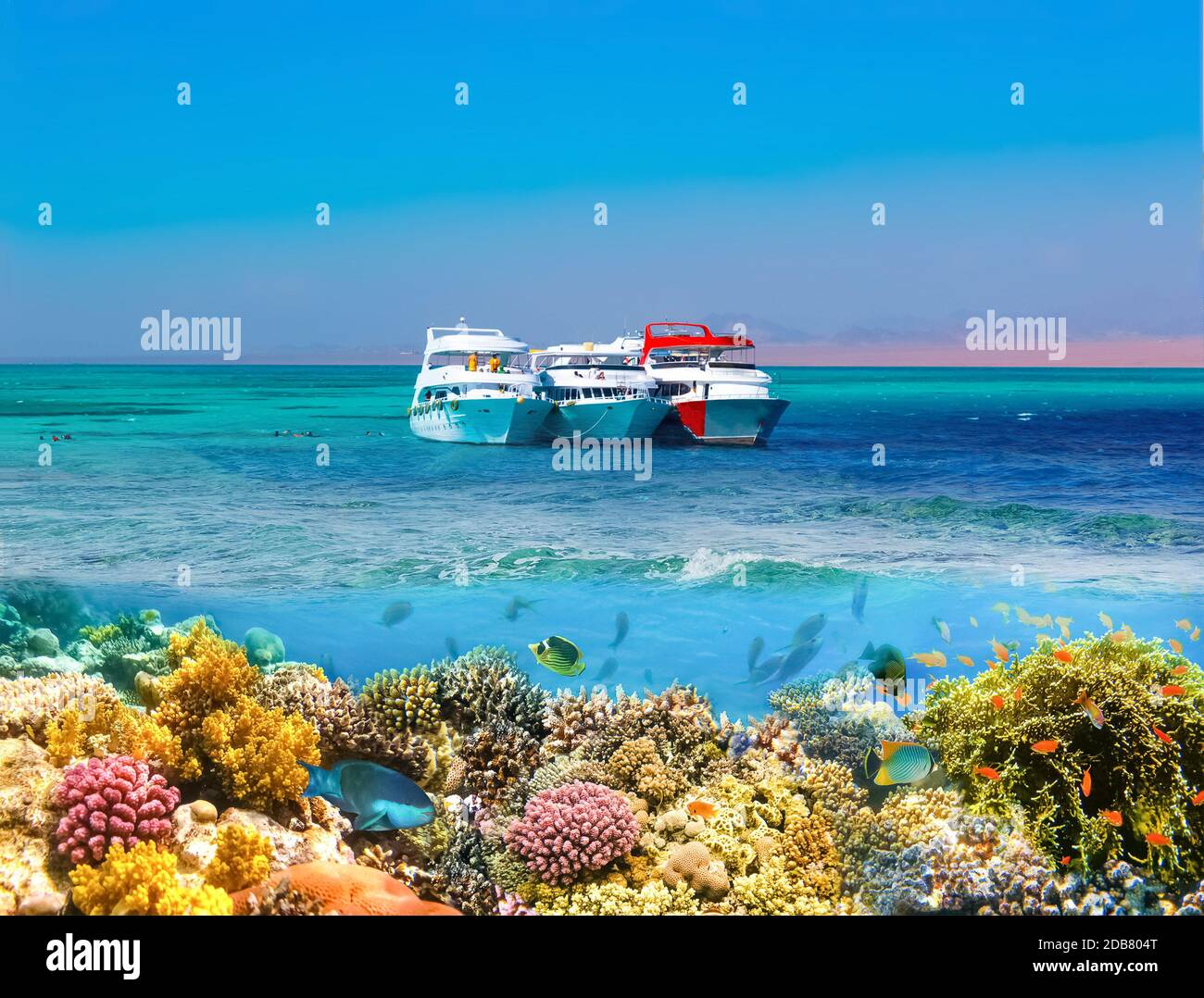Split shot with coral reef underwater and rocky land of the Ras ...