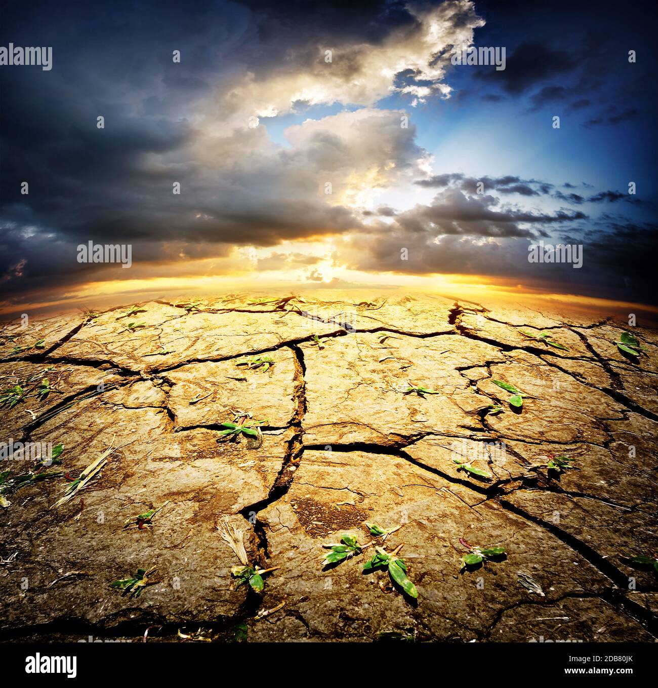 Dried desert hi-res stock photography and images - Alamy