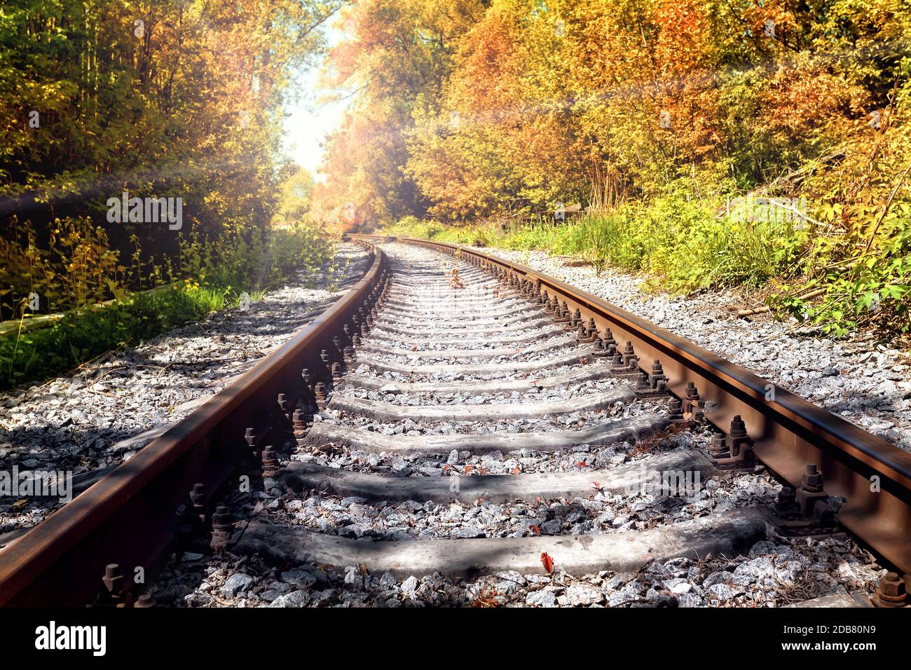 Rusty railroad in autumn forest stretches to the sun Stock Photo - Alamy