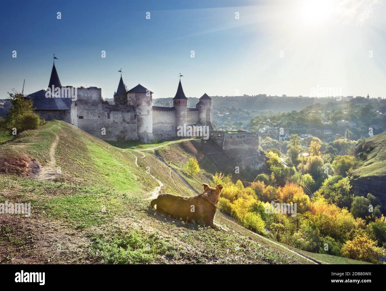 Dog guarding fortress on slopes under sun Stock Photo - Alamy