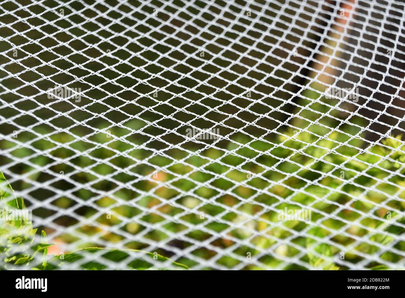 White garden netting texture Stock Photo - Alamy