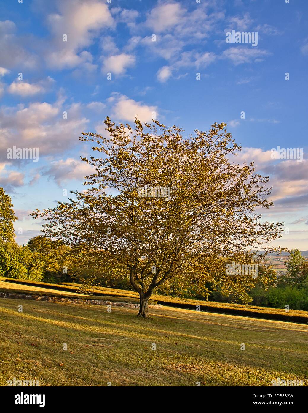 Summer landscape near weimar hi-res stock photography and images - Alamy