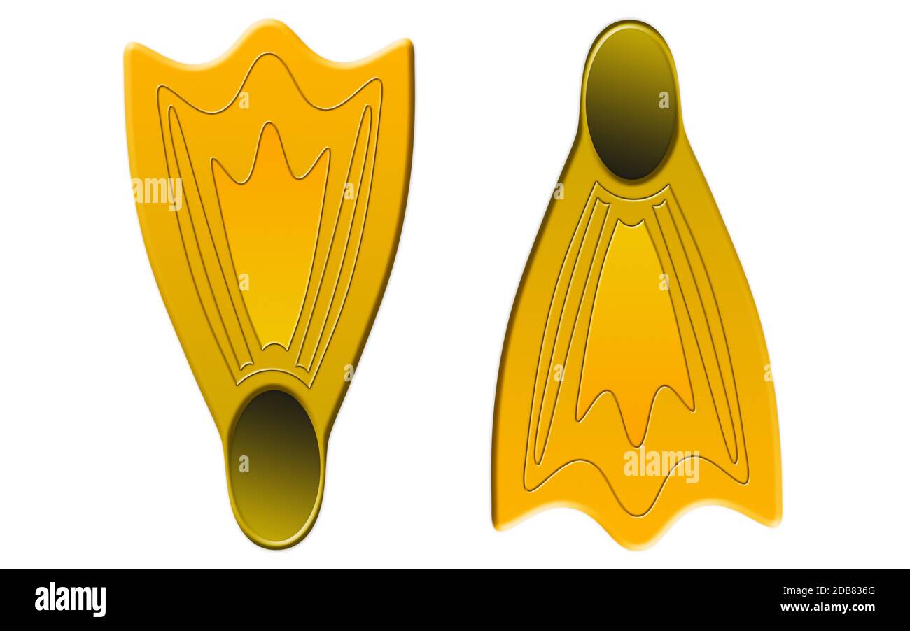 Flippers for Diving. Scuba Equipment Isolated on White Background Stock ...