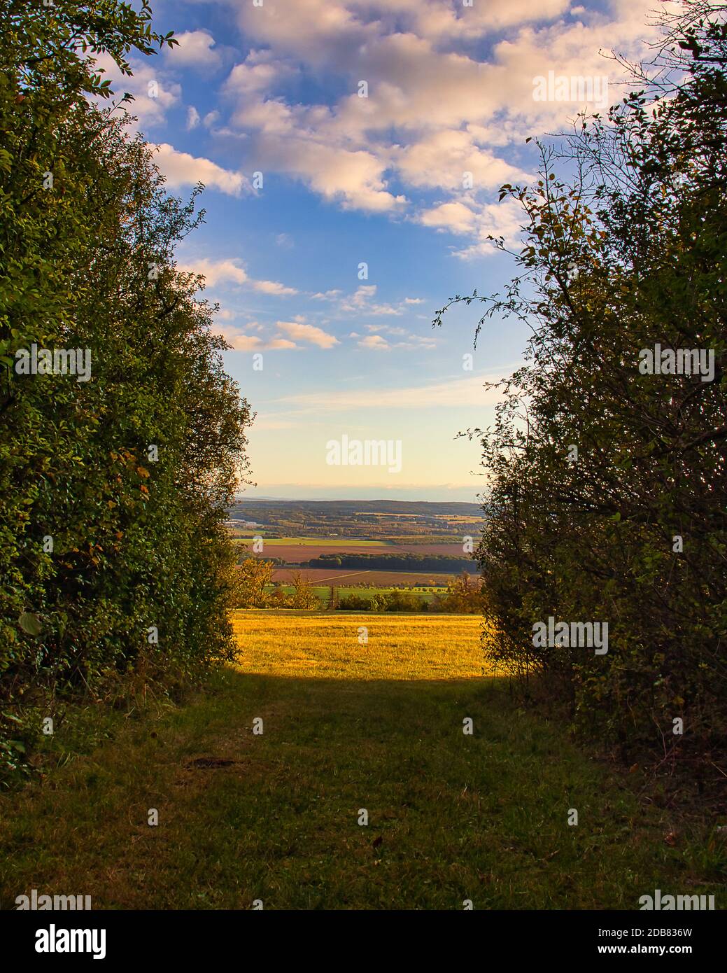 Weimarer hi-res stock photography and images - Alamy