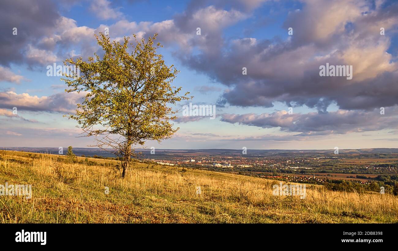 Summer landscape near weimar hi-res stock photography and images - Alamy