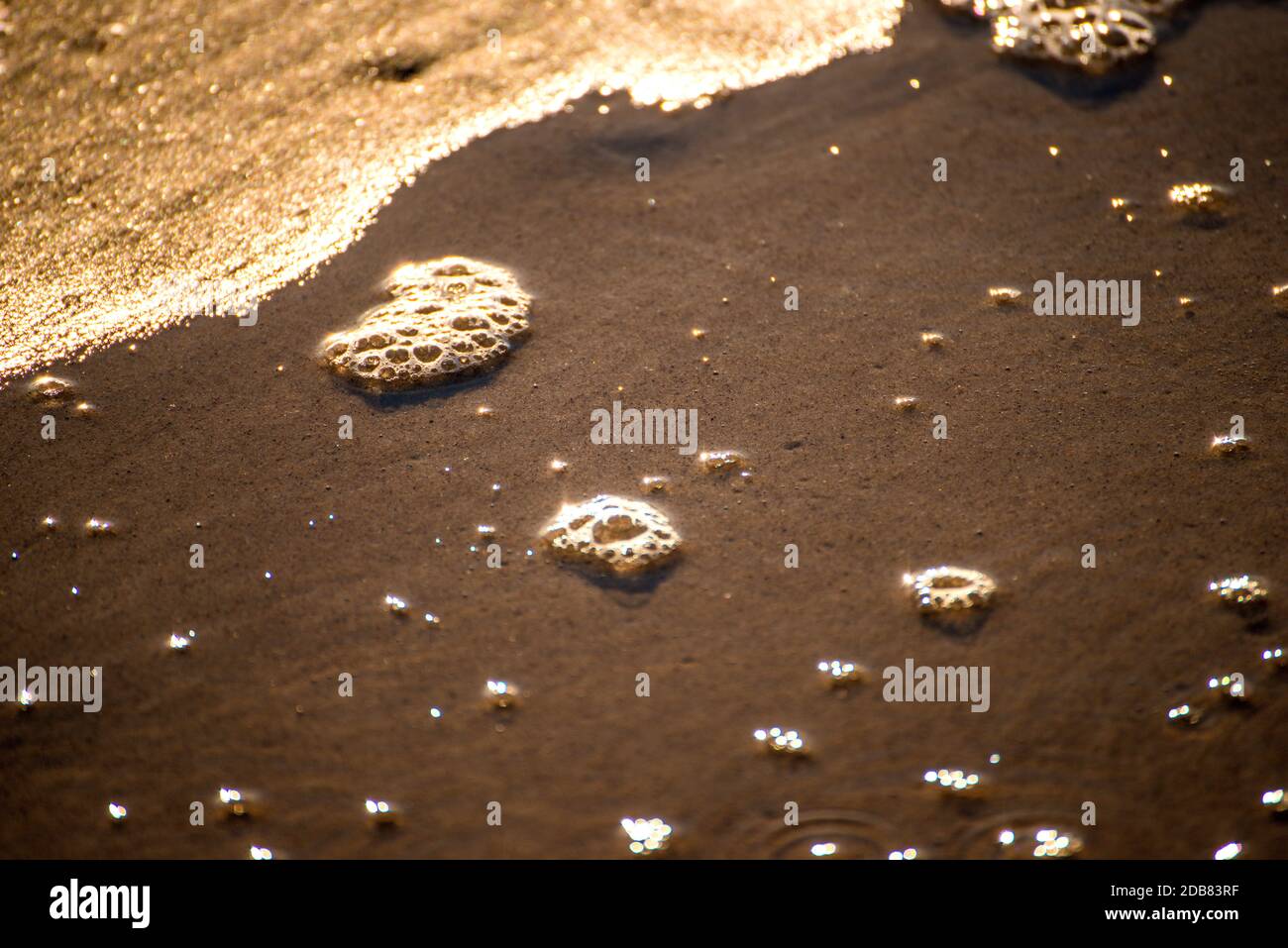 Foam bubbles of the surf on sand Stock Photo - Alamy
