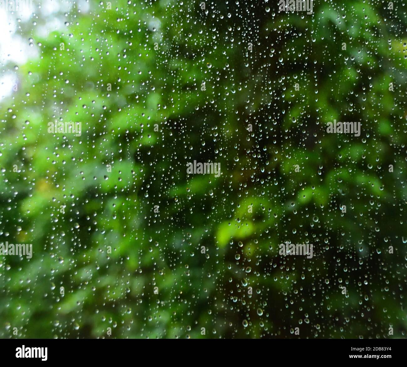 Rain droplets on glass Stock Photo - Alamy