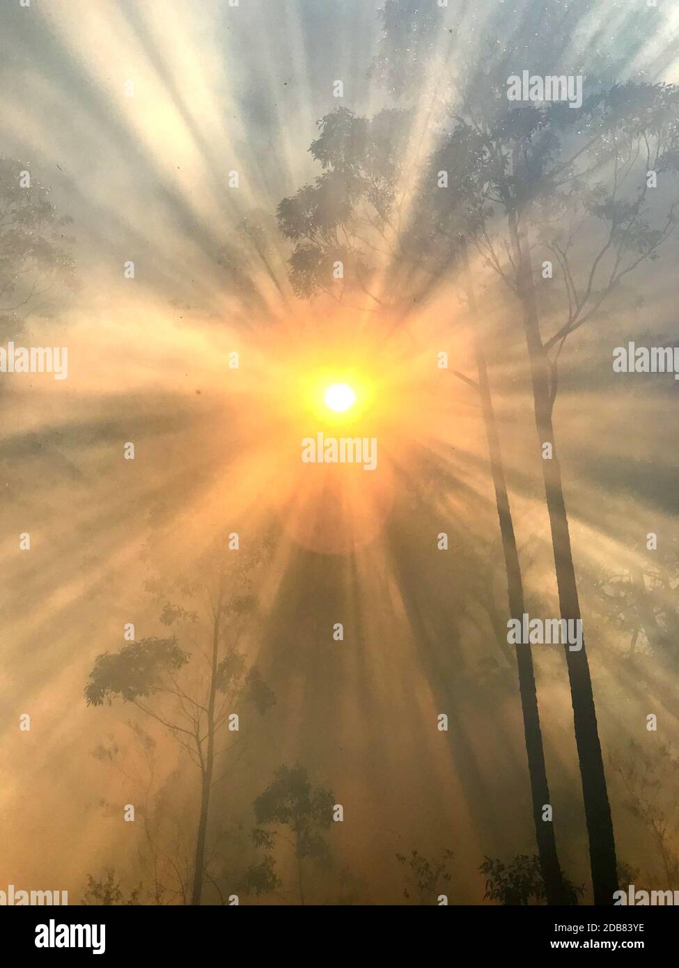 Smoke with sunlight from a bushfire in Australia Stock Photo - Alamy