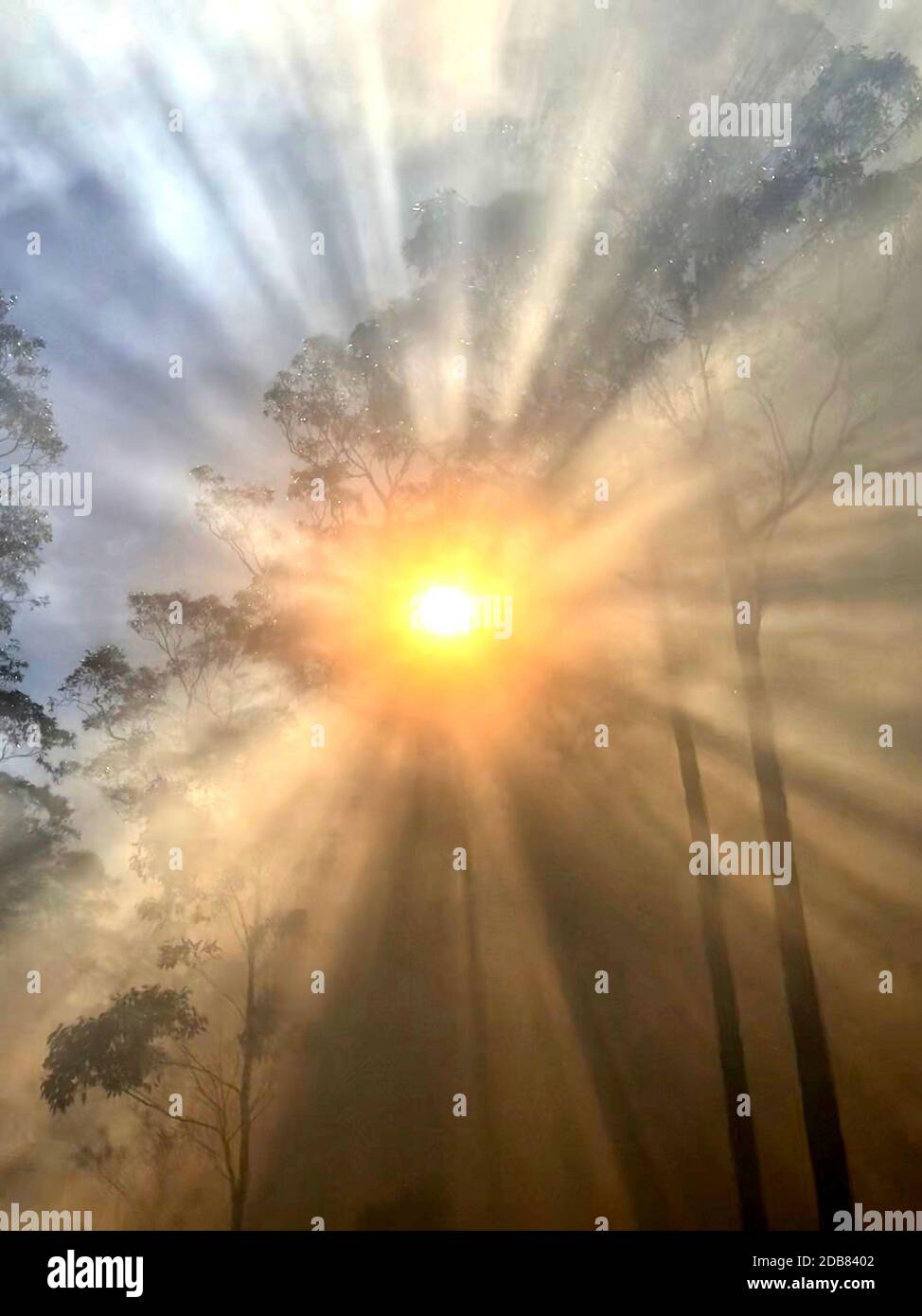 Smoke with sunlight from a bushfire in Australia Stock Photo - Alamy
