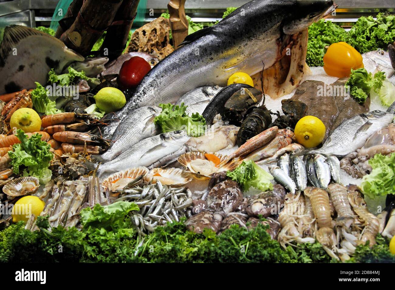 Seafood fish and shells variety in display Stock Photo - Alamy