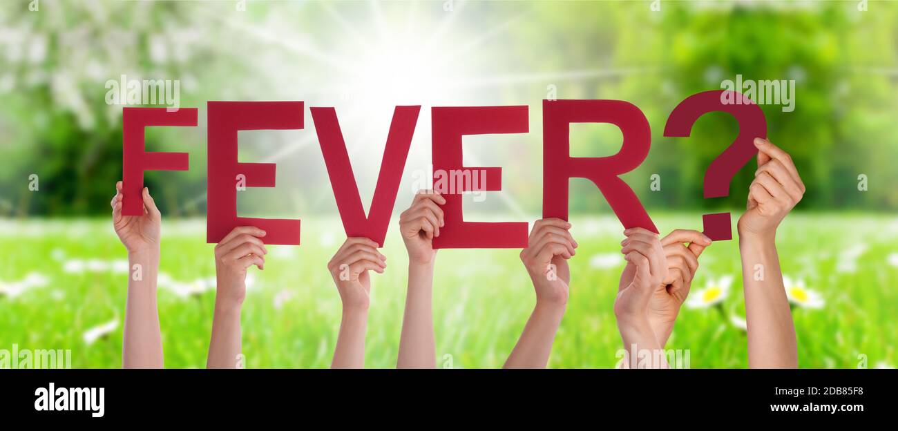 People Hands Holding Colorful English Word Fever. Sunny Green Grass ...