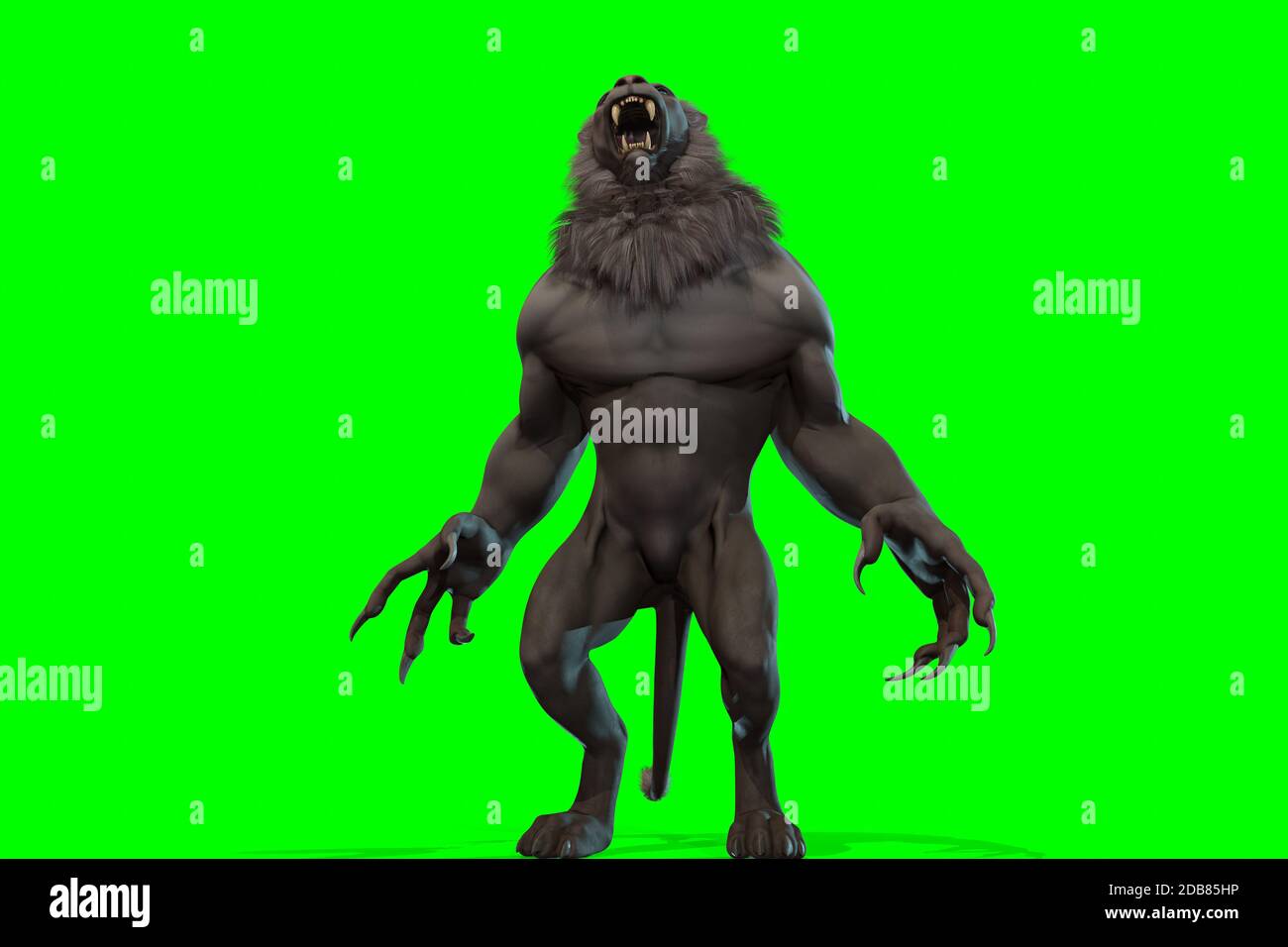 Alpha Wolf Attacking