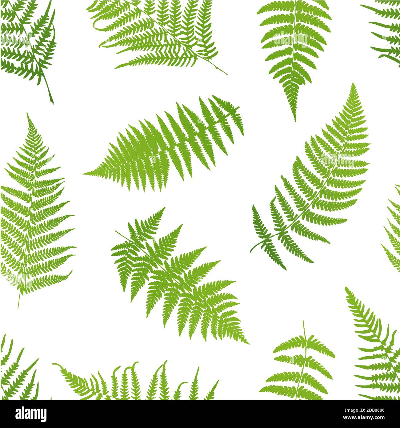 Fern seamless pattern. Vector illustration Stock Photo - Alamy