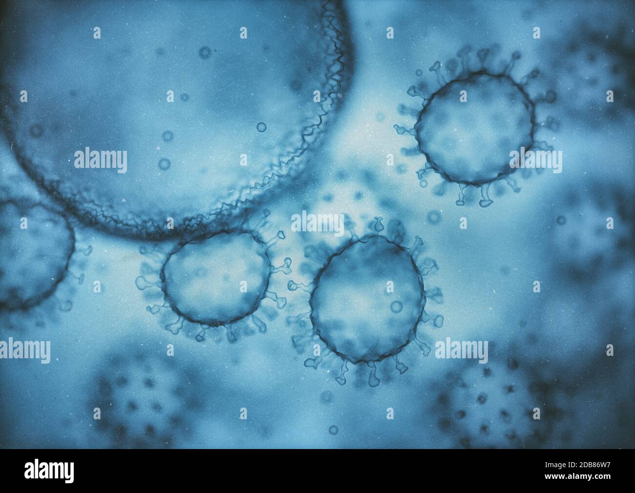 Viral structure. Viral particle is made up of a nucleus of nucleic acid ...