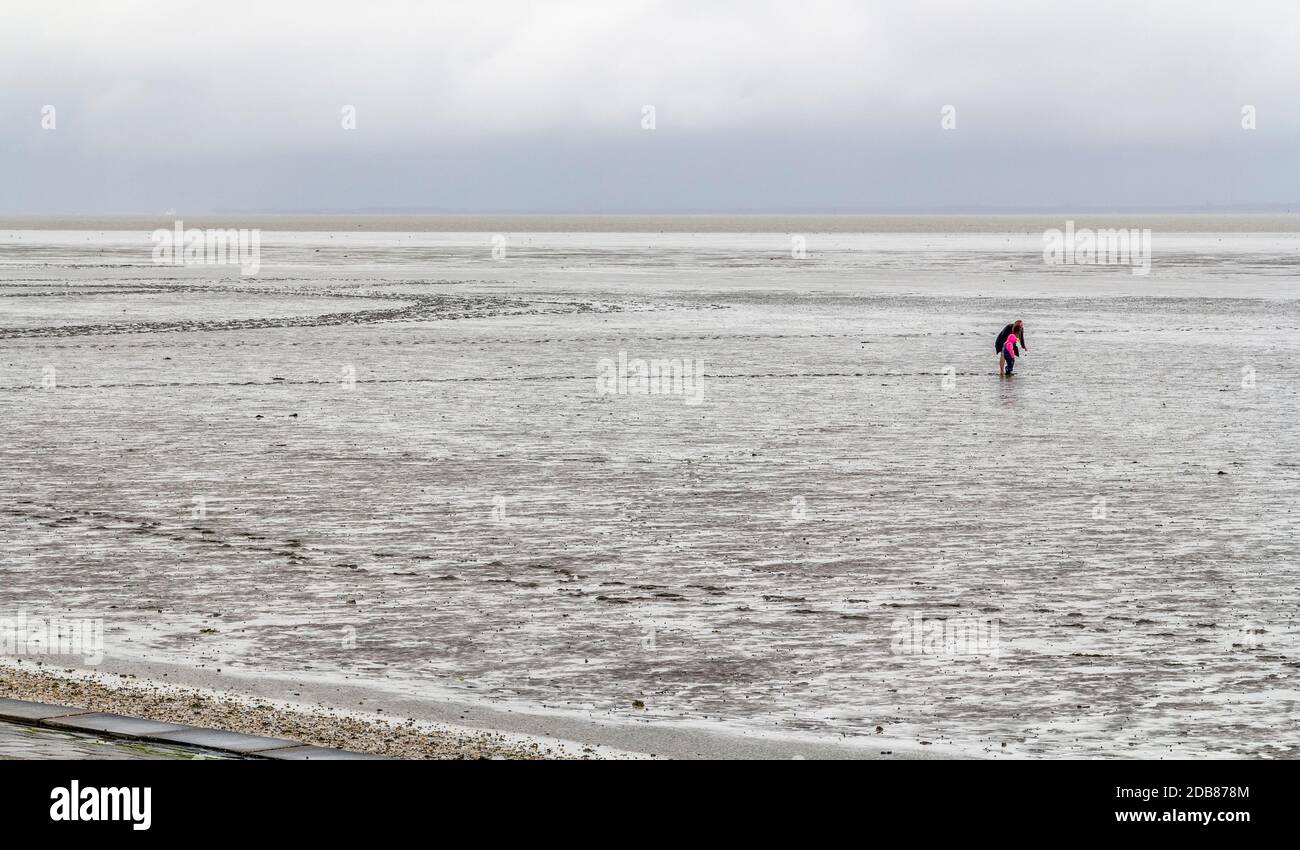 coastal scenery near Carolinensiel in Eastern Frisia, Germany Stock ...