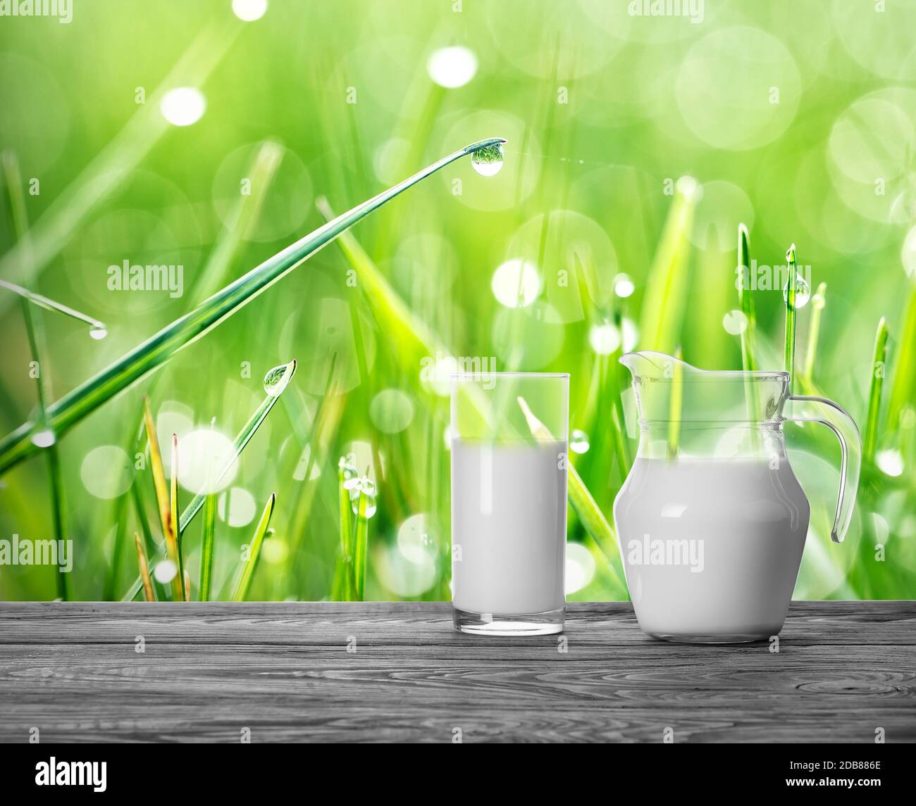 Under the milk wood hi-res stock photography and images - Alamy