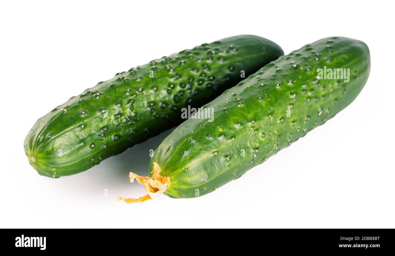 Two fresh cucumbers isolated on white background Stock Photo - Alamy