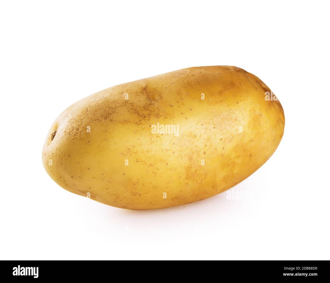 Young ripe potato isolated on white background Stock Photo - Alamy