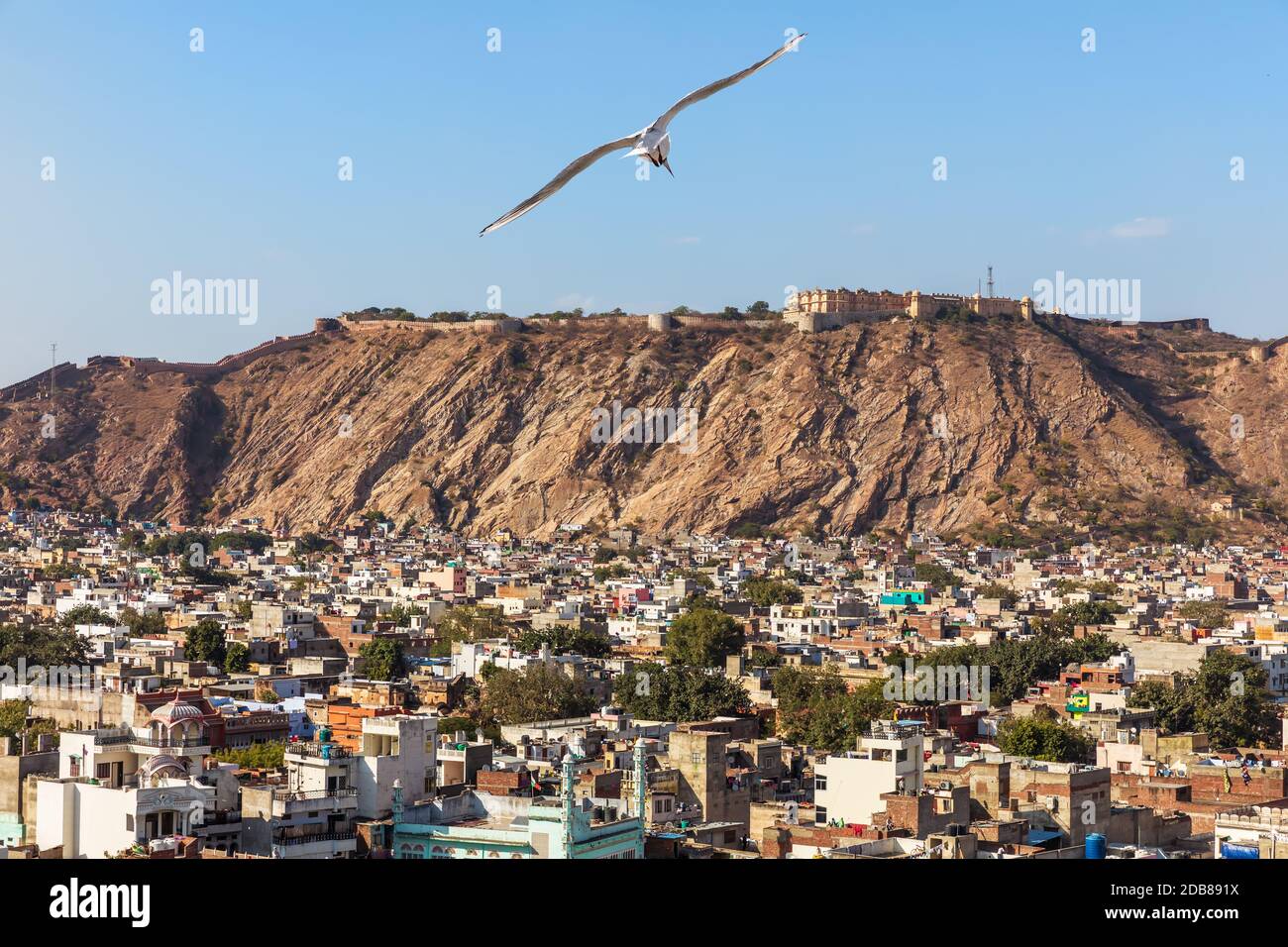 Jaipur buildings and Nahargarh Fort on the hill, Jaipur, India Stock ...