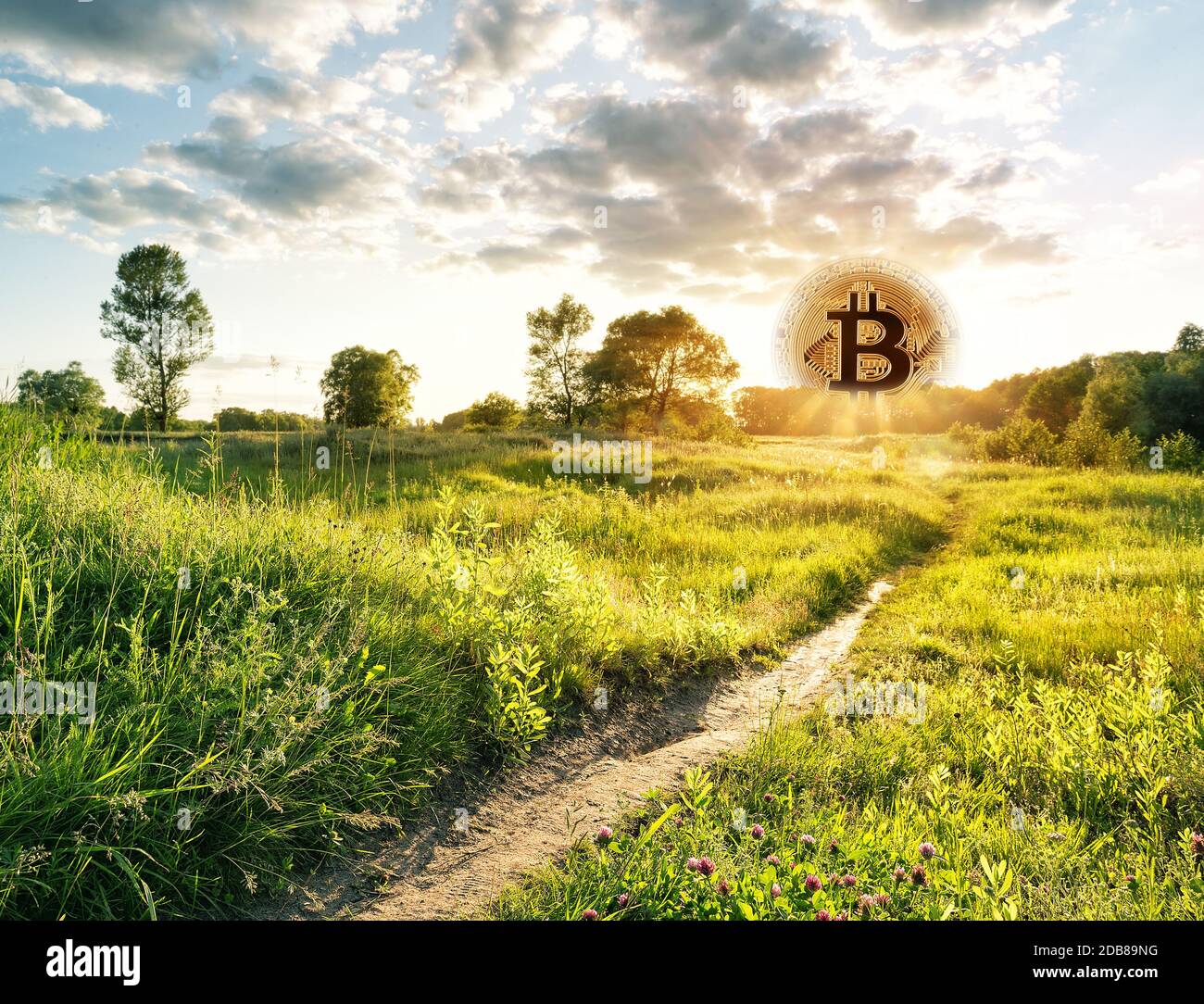 Path leading to the ascending golden bitcoin. Bitcoin in the form of ...