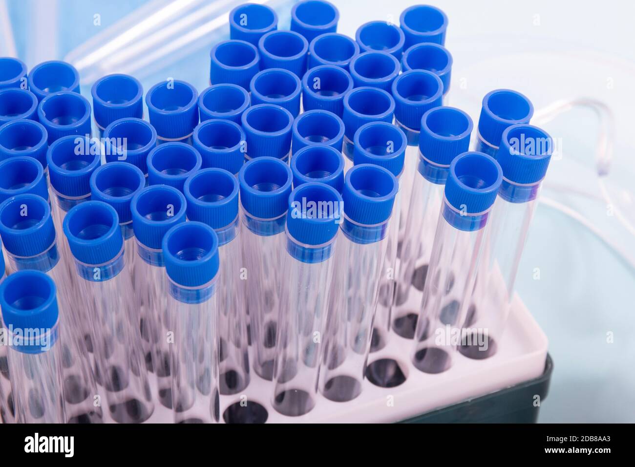 Close up of several laboratory testing tubes on a rack Stock Photo - Alamy