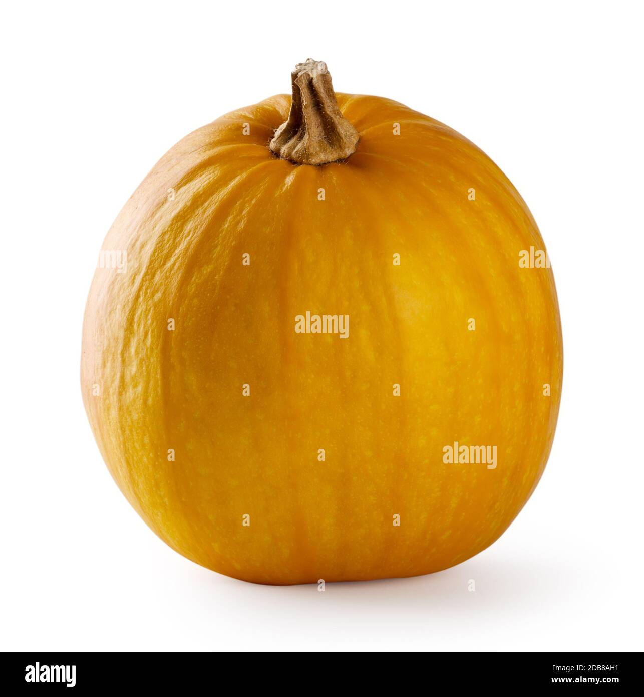 Fresh yellow pumpkin isolated on white background Stock Photo - Alamy
