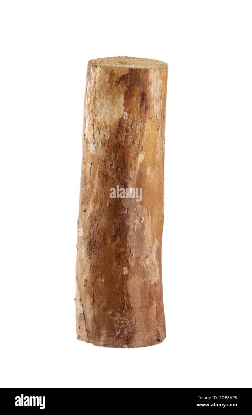 Wooden log without bark isolated on white background Stock Photo - Alamy