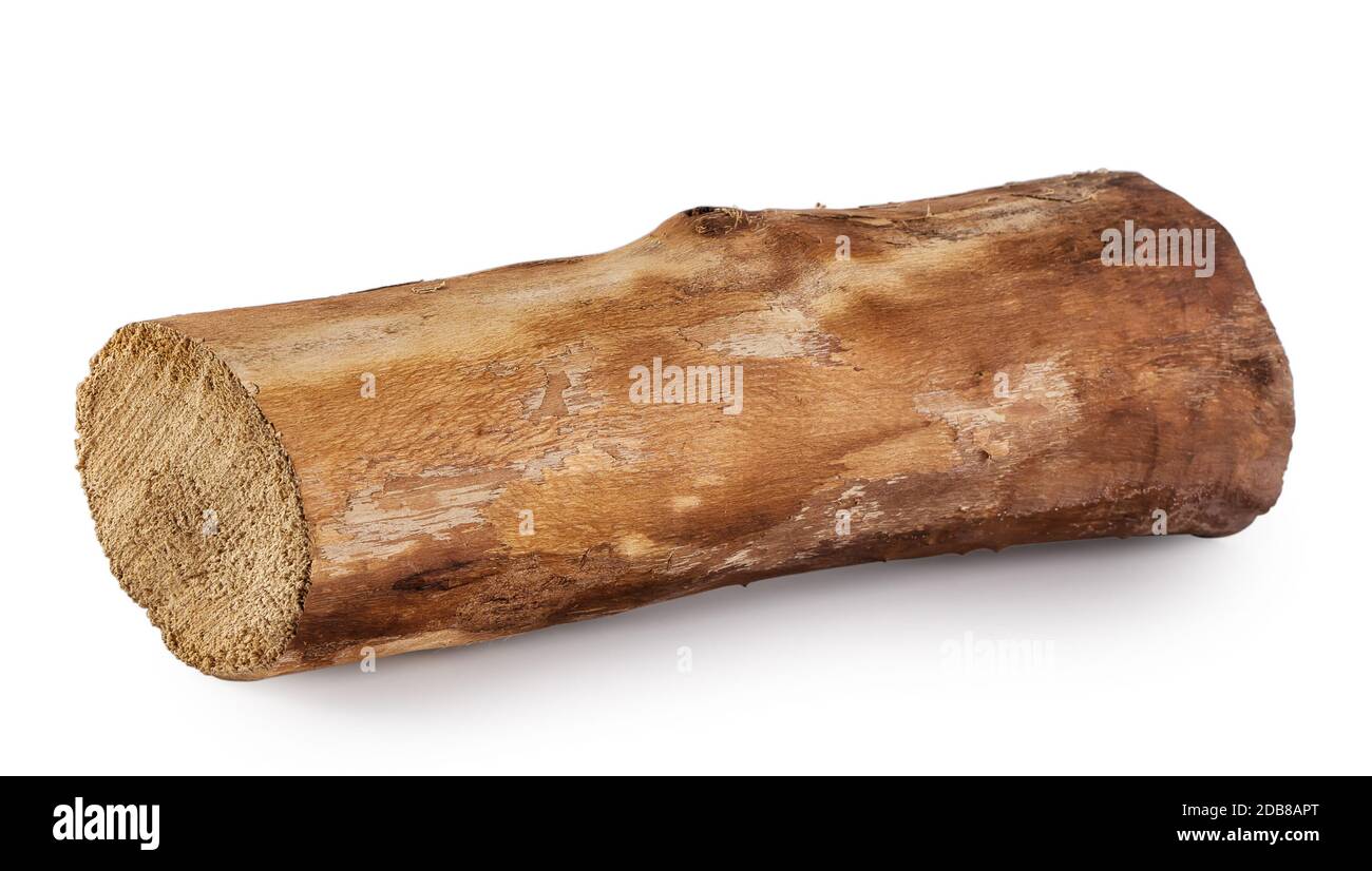 Log lying horizontally isolated on a white background Stock Photo - Alamy