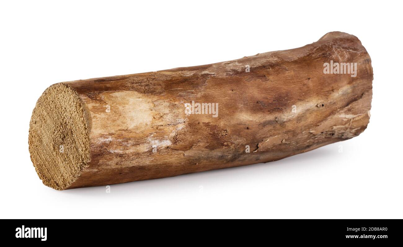 Log without bark lying horizontally isolated on white background Stock ...