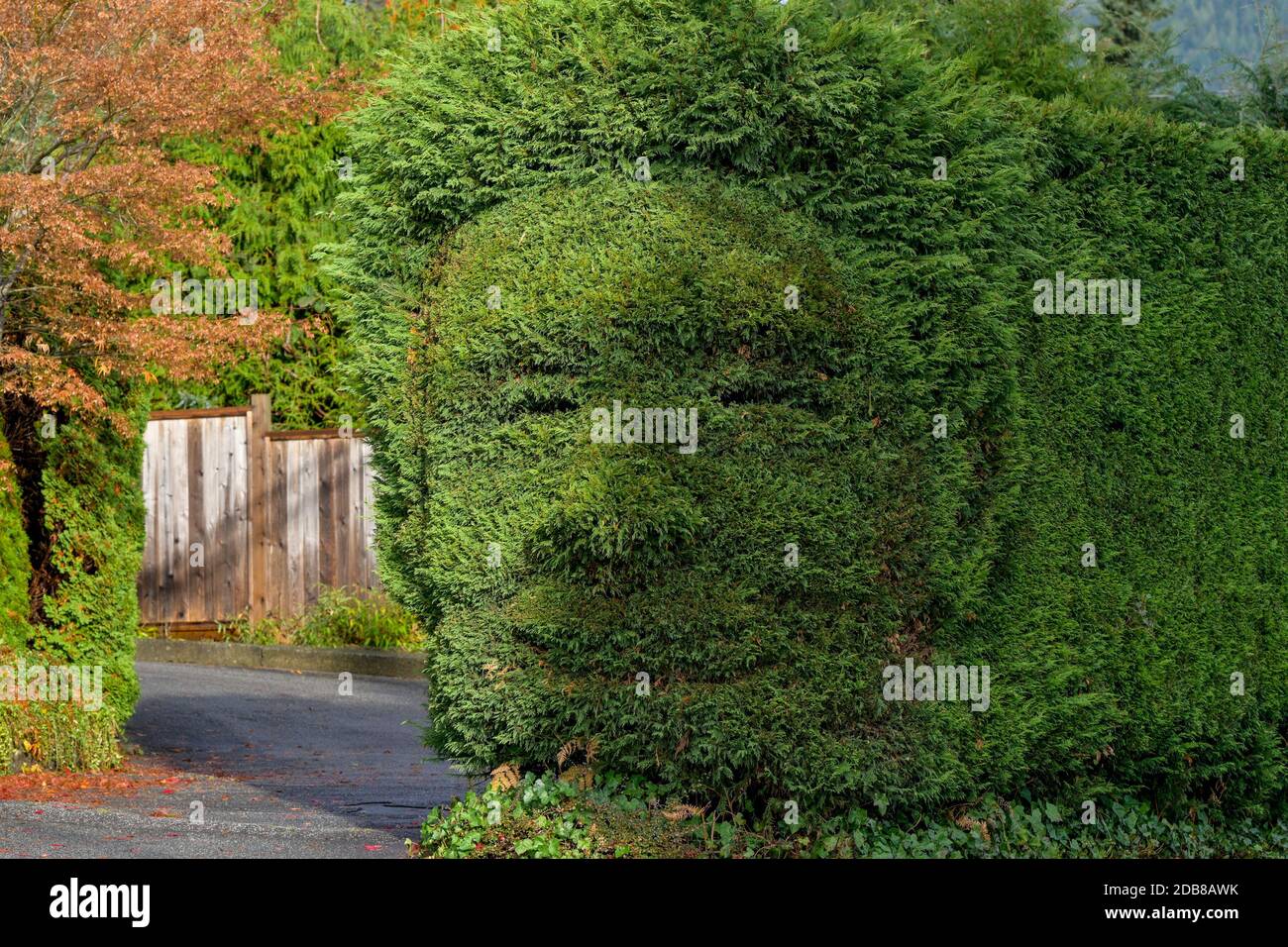 Topiary Face High Resolution Stock Photography and Images - Alamy