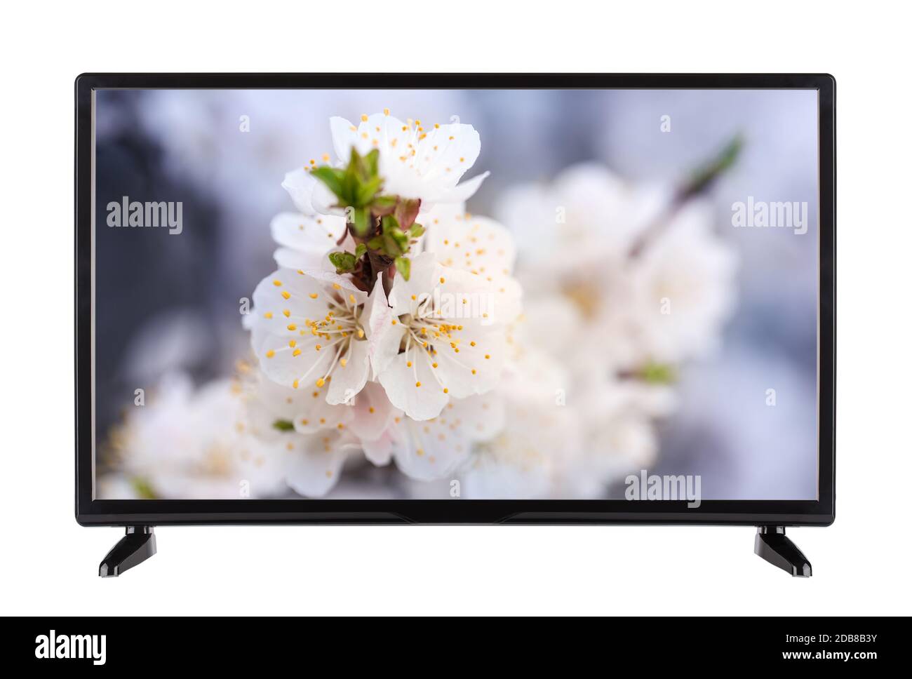 Black TV with picture on the monitor of the landscape of blooming ...