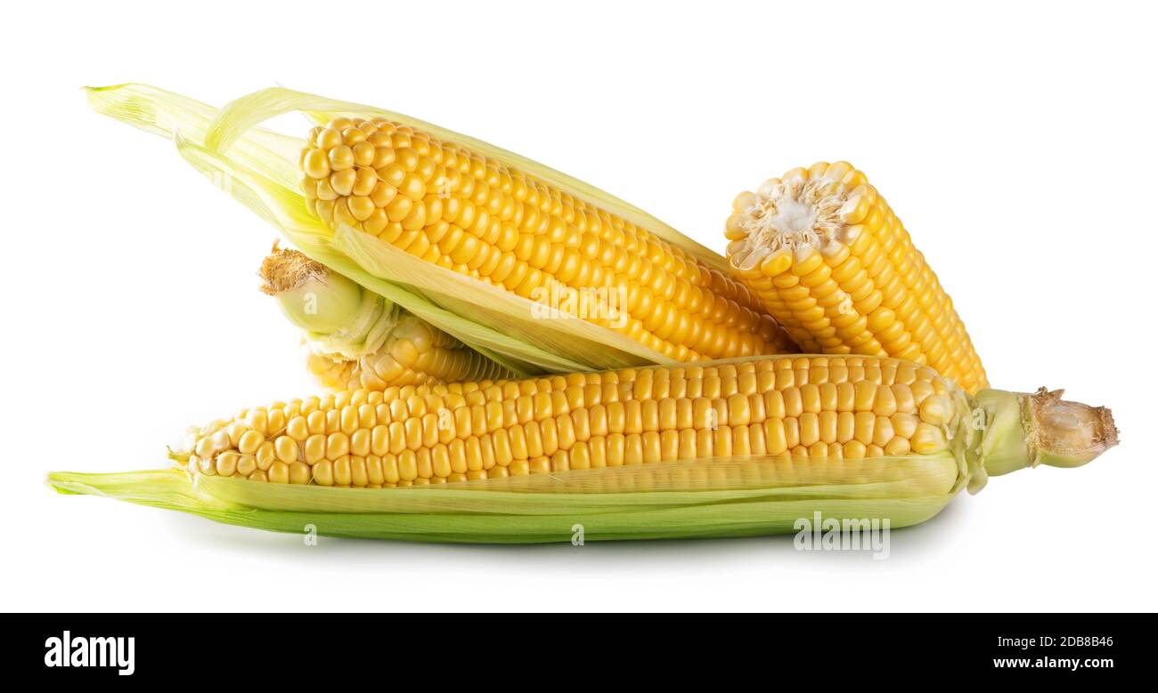 Fresh corn with green leaves isolated on white background Stock Photo ...