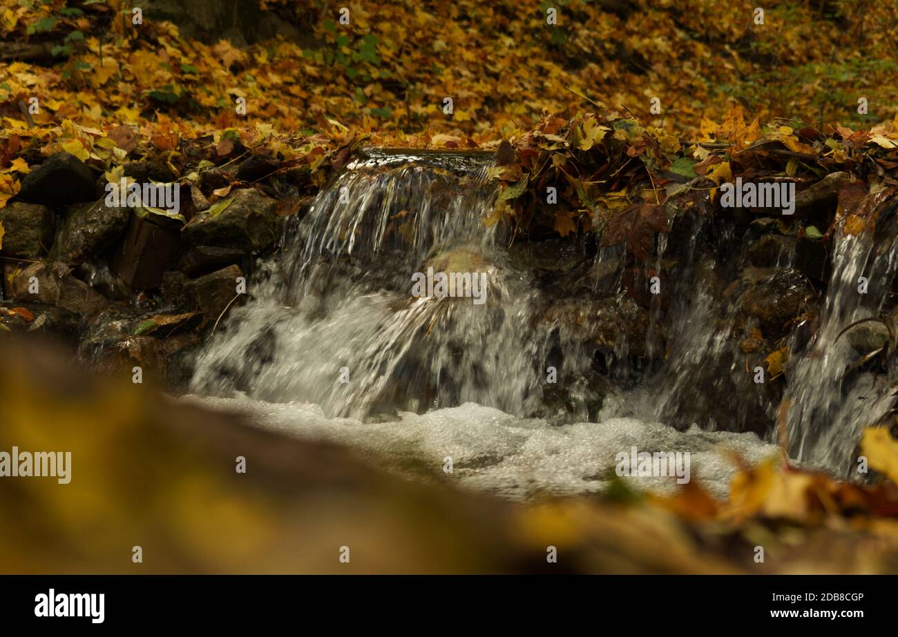 autumn water season day leaves water flow Stock Photo - Alamy